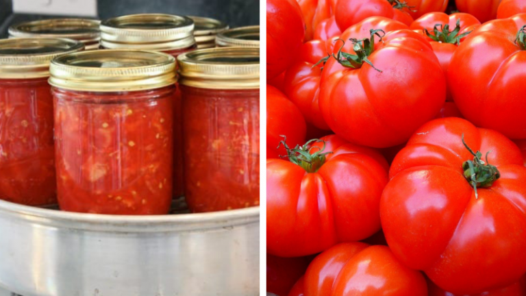 Rețetă bulion de roșii – cum se poate verifica o eventuală fermentare ...