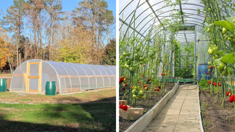 Solarul de grădină: construcție, amplasare, tipuri și materiale ...