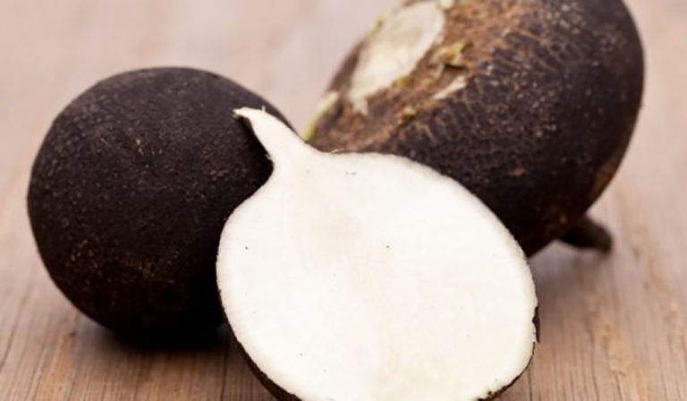 Sirop de ridiche neagră pentru tuse. Rețetă și beneficii - Agromedia