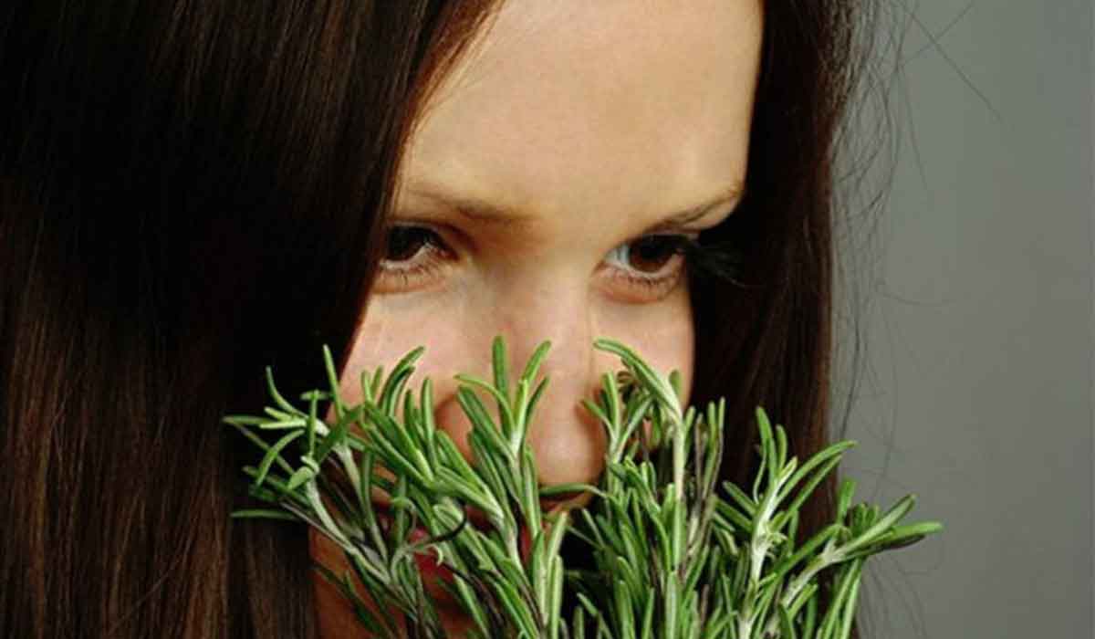 Planta puternica, excelenta pentru creier, inima, vase, piele, par si ...