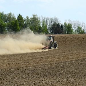 Calendarul corect pentru plantare și însămânțare - Agromedia
