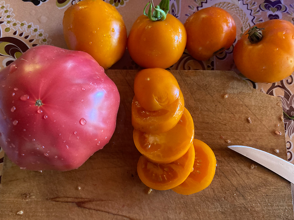 Rețetă - Roșii felii la borcan din doar 2 ingrediente - Agromedia