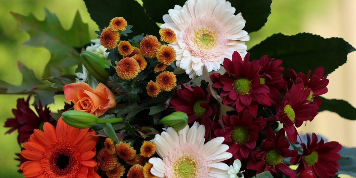 Flori pe care nu ai voie să le oferi cadou. Nu trebuie să le dăruiești ...