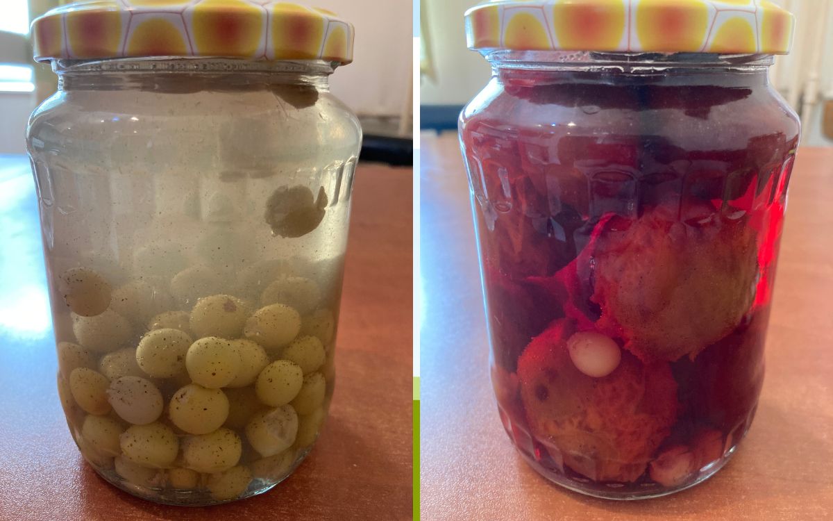 Compoturi din fructe de toamnă - 3 variante delicioase și ușor de făcut ...