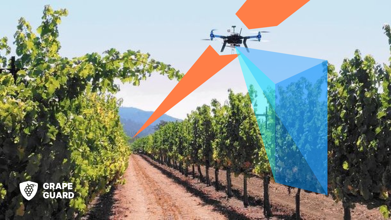 Produs românesc de inteligență artificială, pus în slujba ...