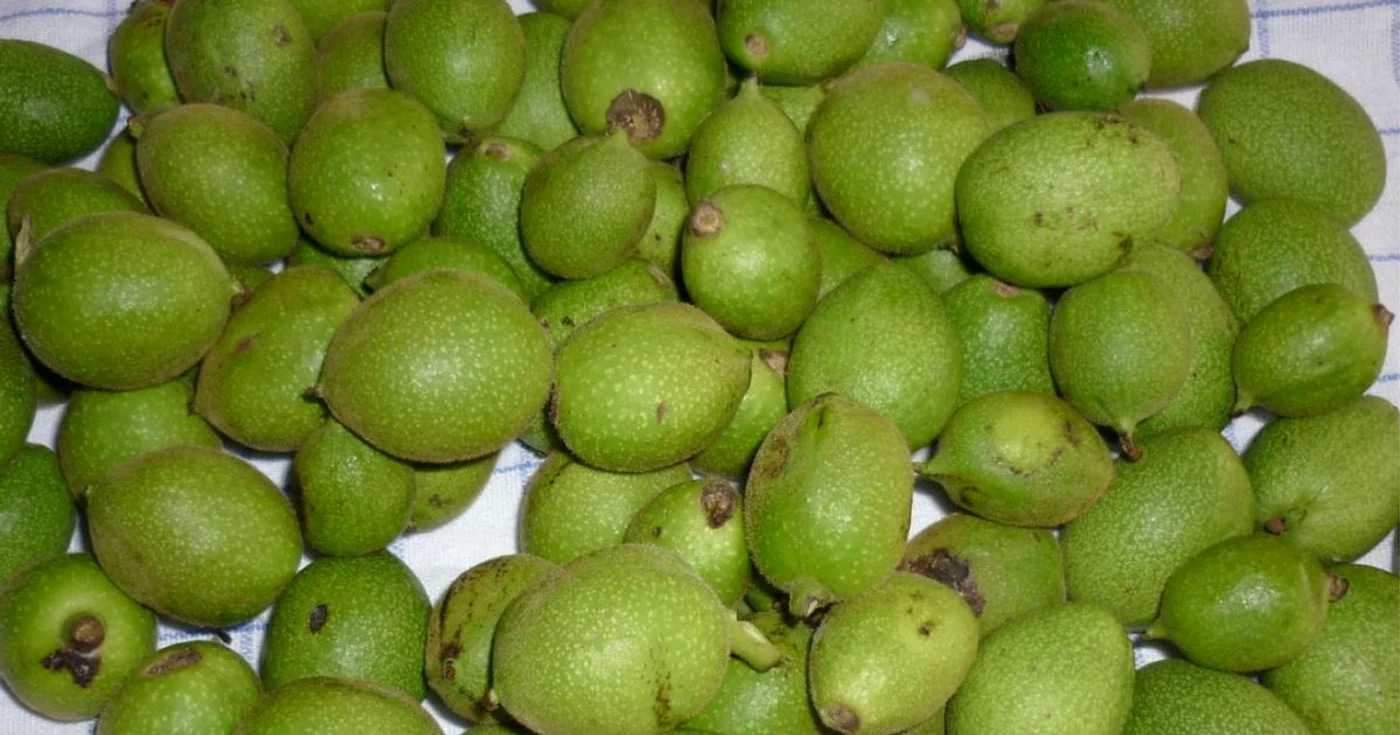 Cum se prepară tinctura de nuci verzi şi tinctura de frunze de nuc. Ce ...