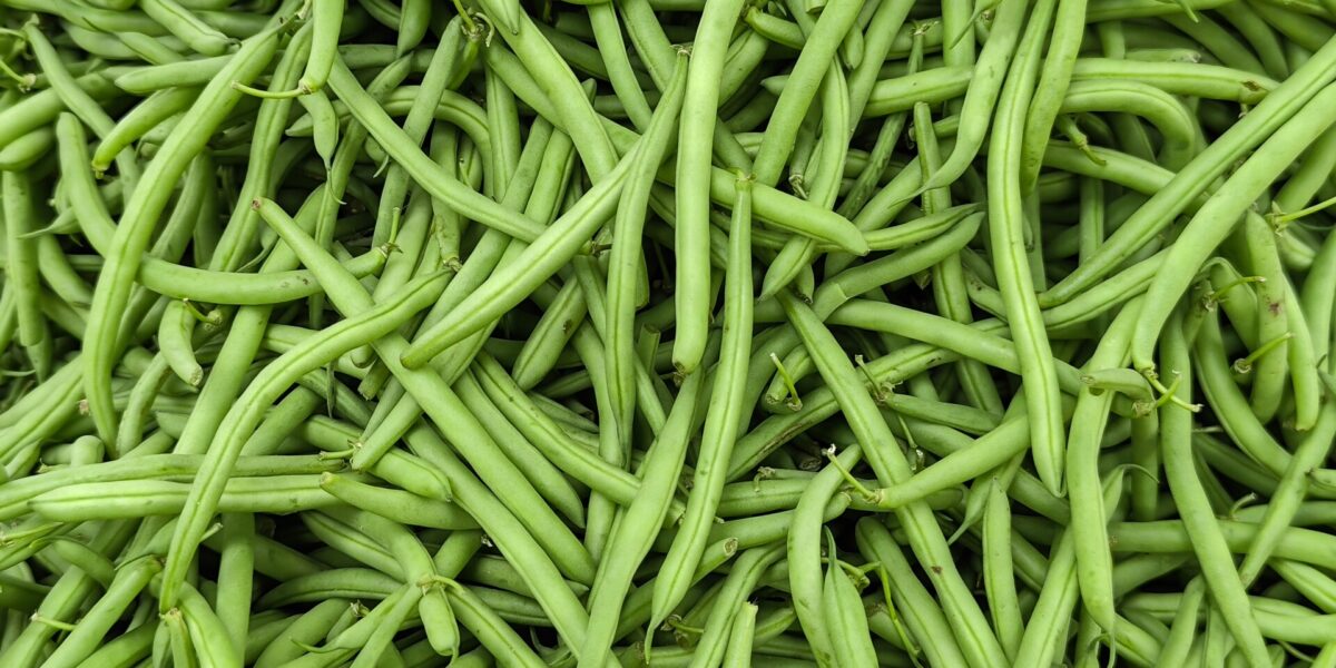 Fasolea verde: soiuri productive și cum le întreții corect - Agromedia
