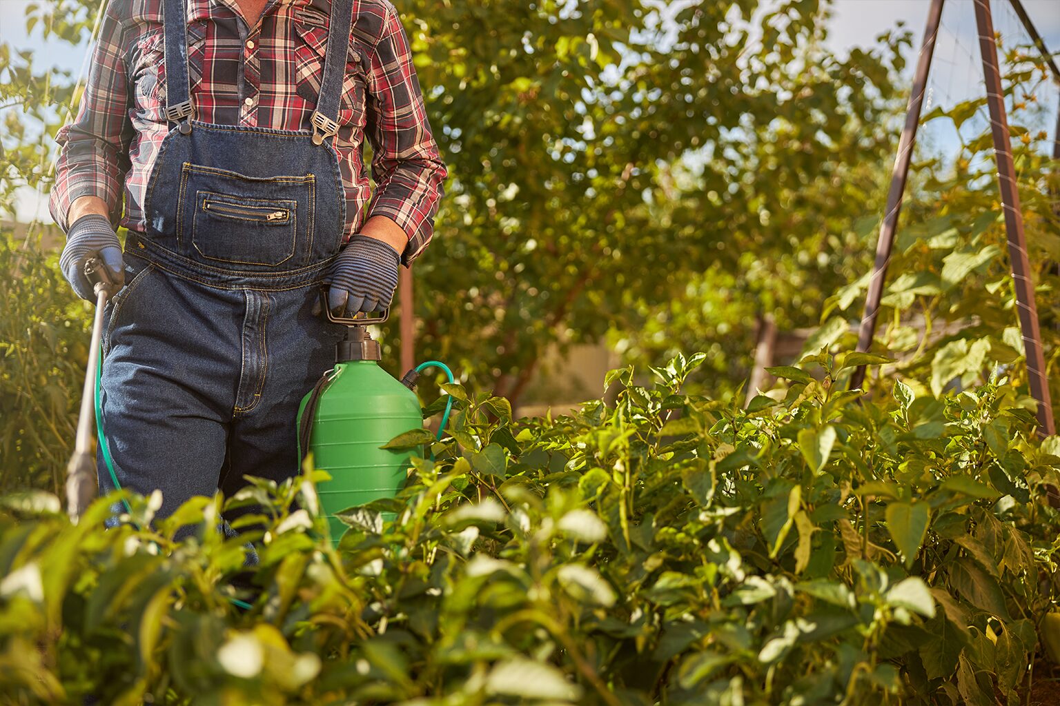 Tot ce trebuie să știi despre erbicide – ghid pentru fermieri - Agromedia